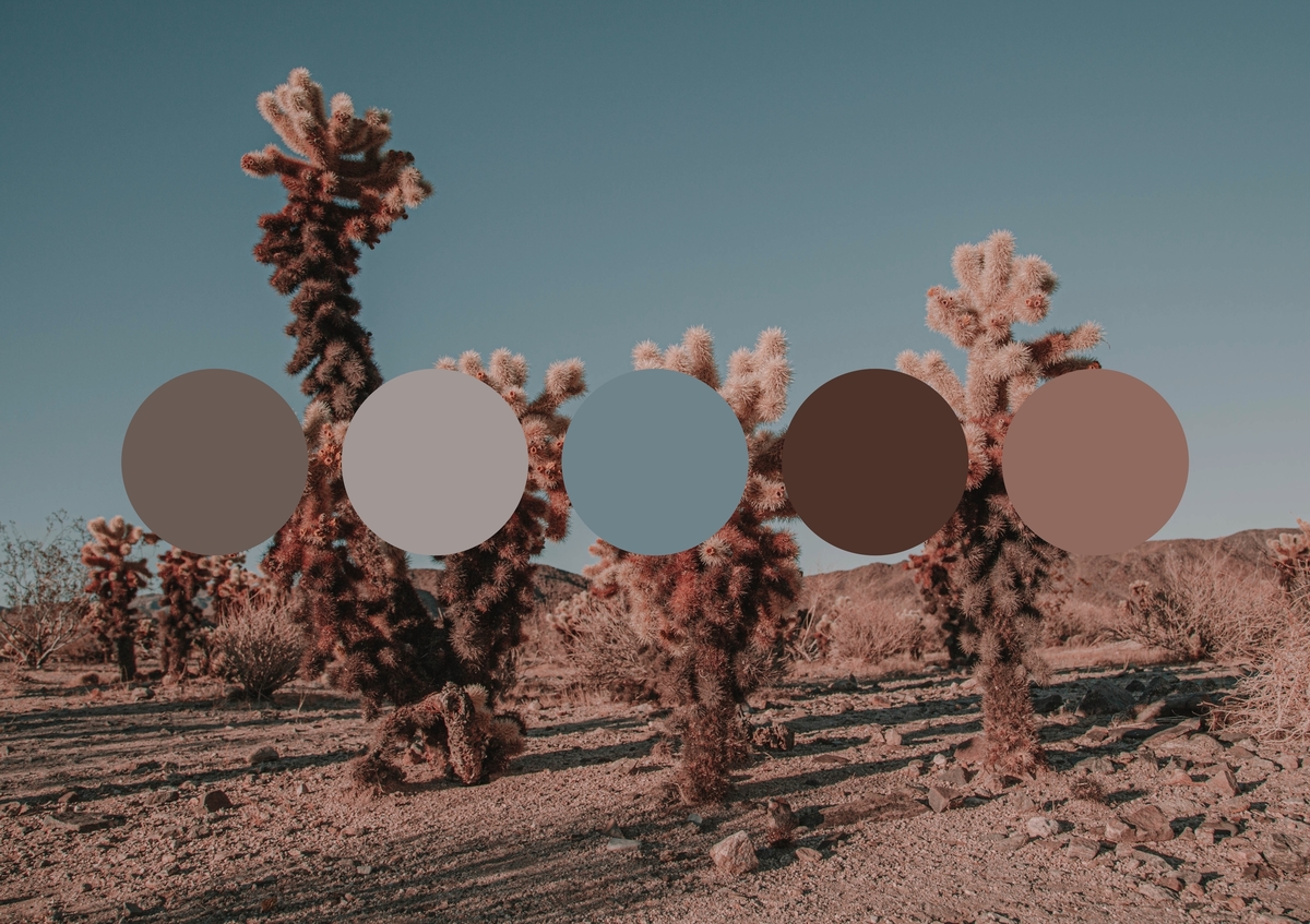 Get color palette inspiration from nature