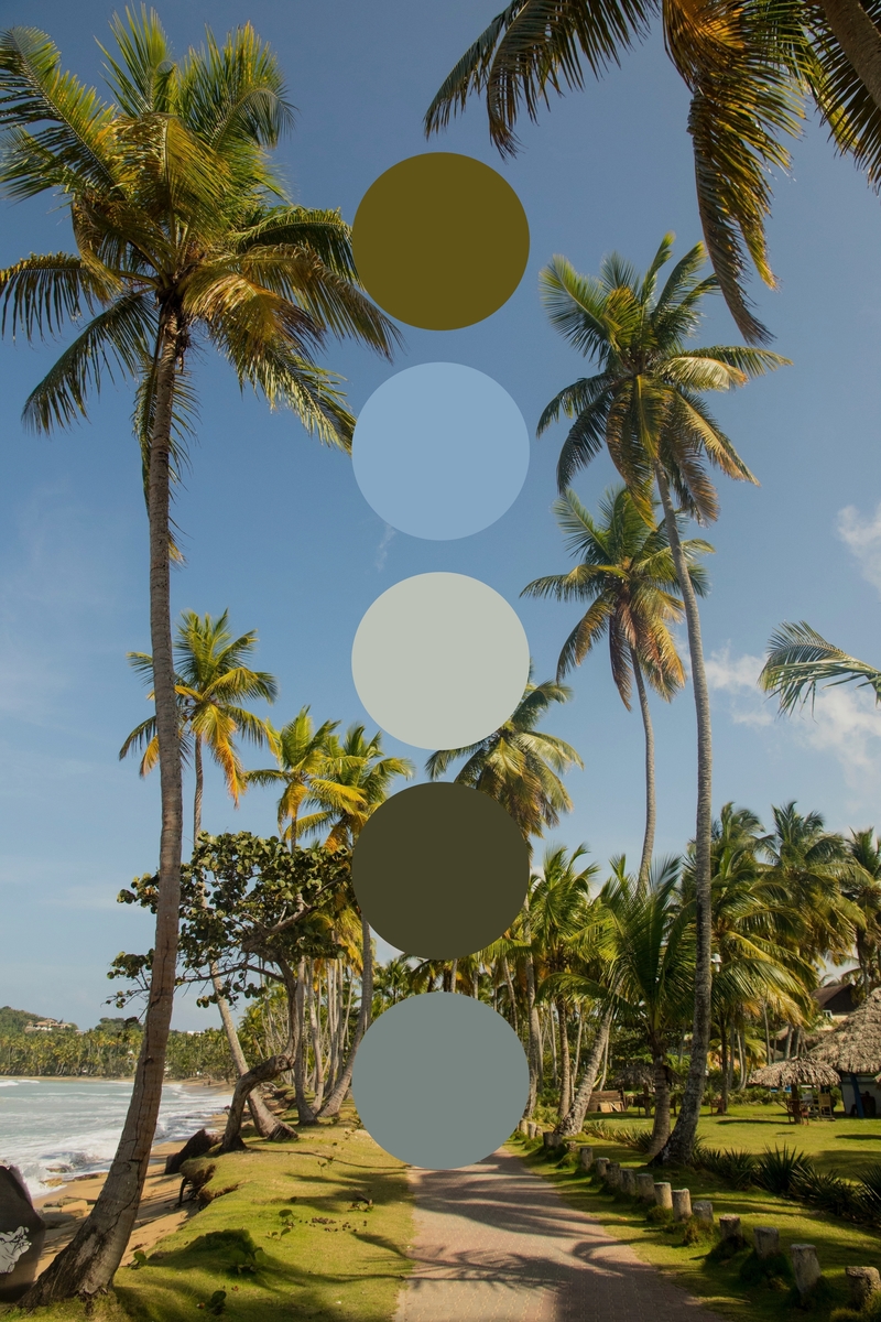 Get color palette inspiration from nature