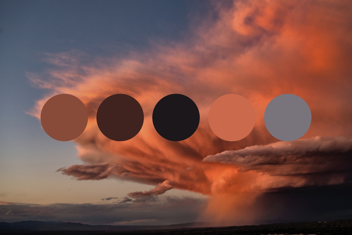 Get color palette inspiration from nature