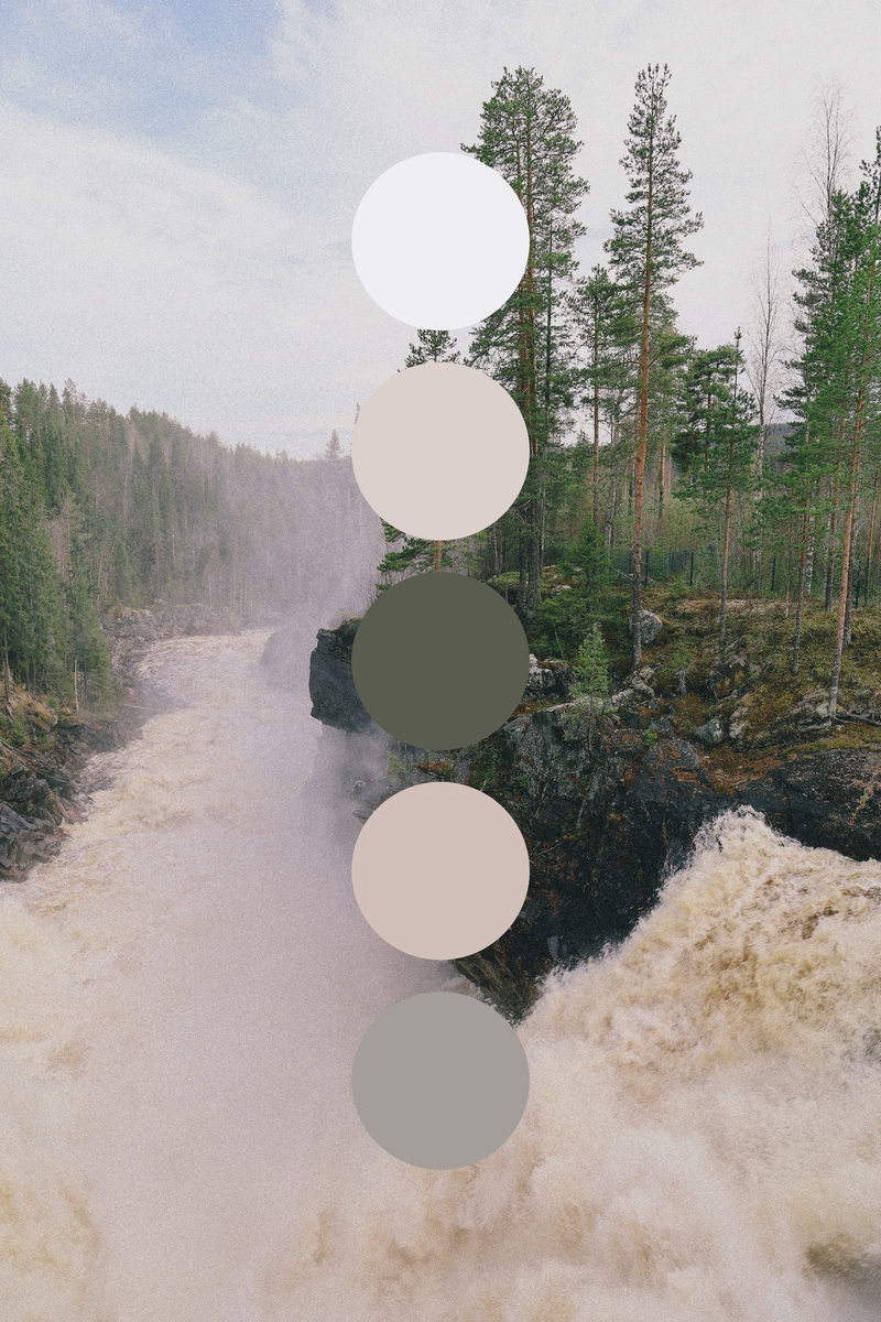 Get color palette inspiration from nature