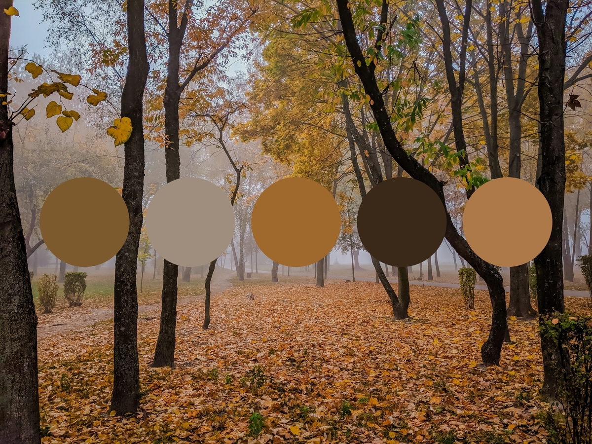 Get color palette inspiration from nature