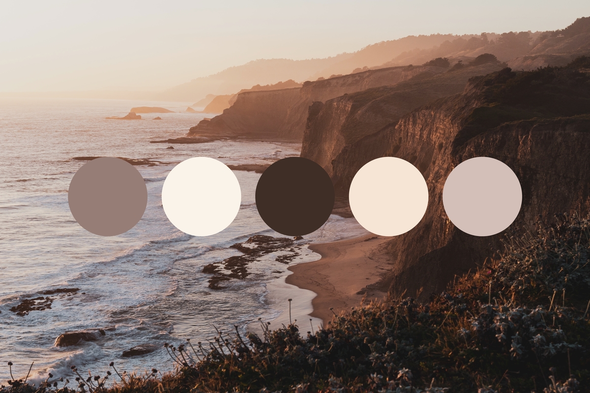 Get color palette inspiration from nature
