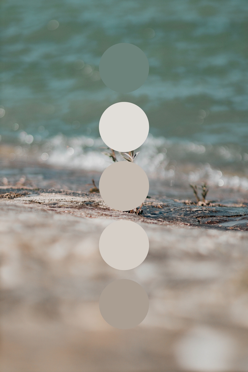 Get color palette inspiration from nature