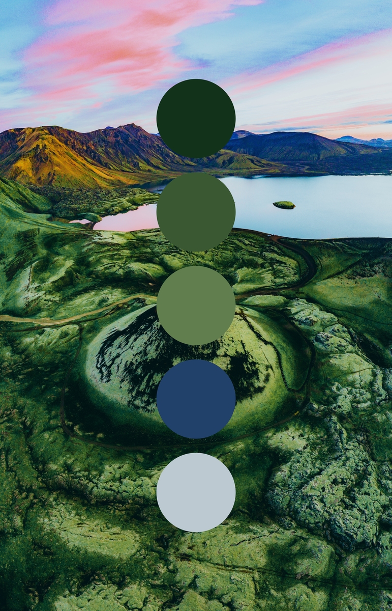 Get color palette inspiration from nature