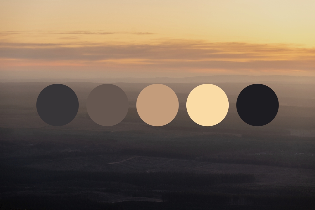 Get color palette inspiration from nature