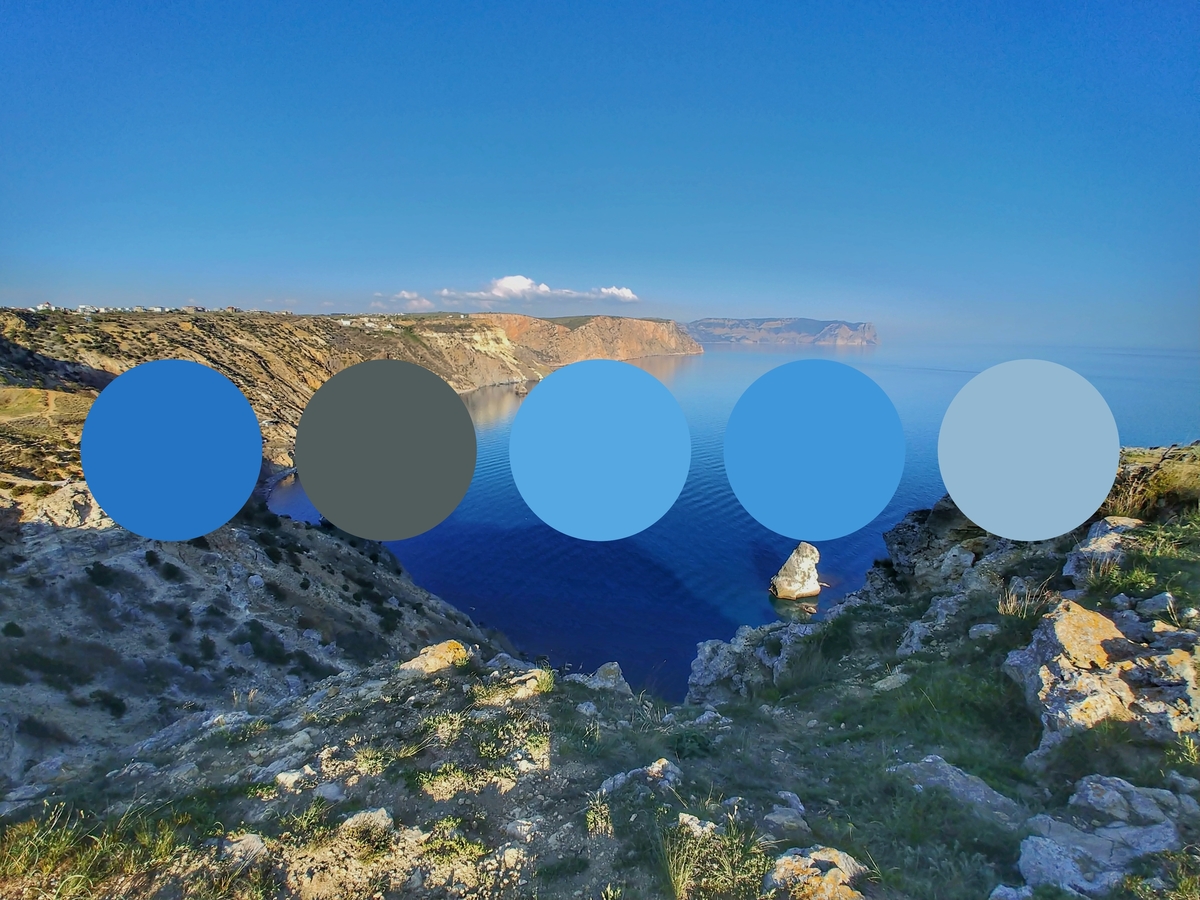 Get color palette inspiration from nature