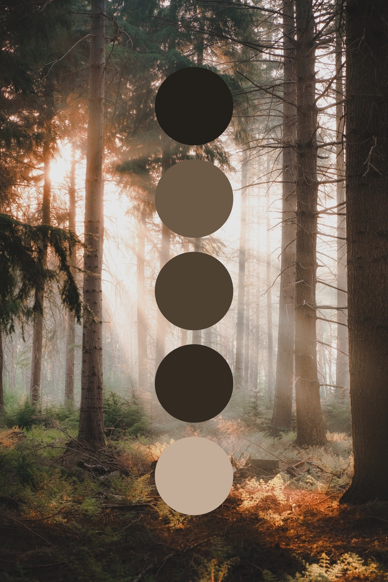 Get color palette inspiration from nature