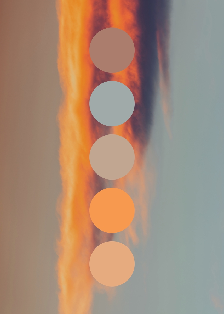Get color palette inspiration from nature