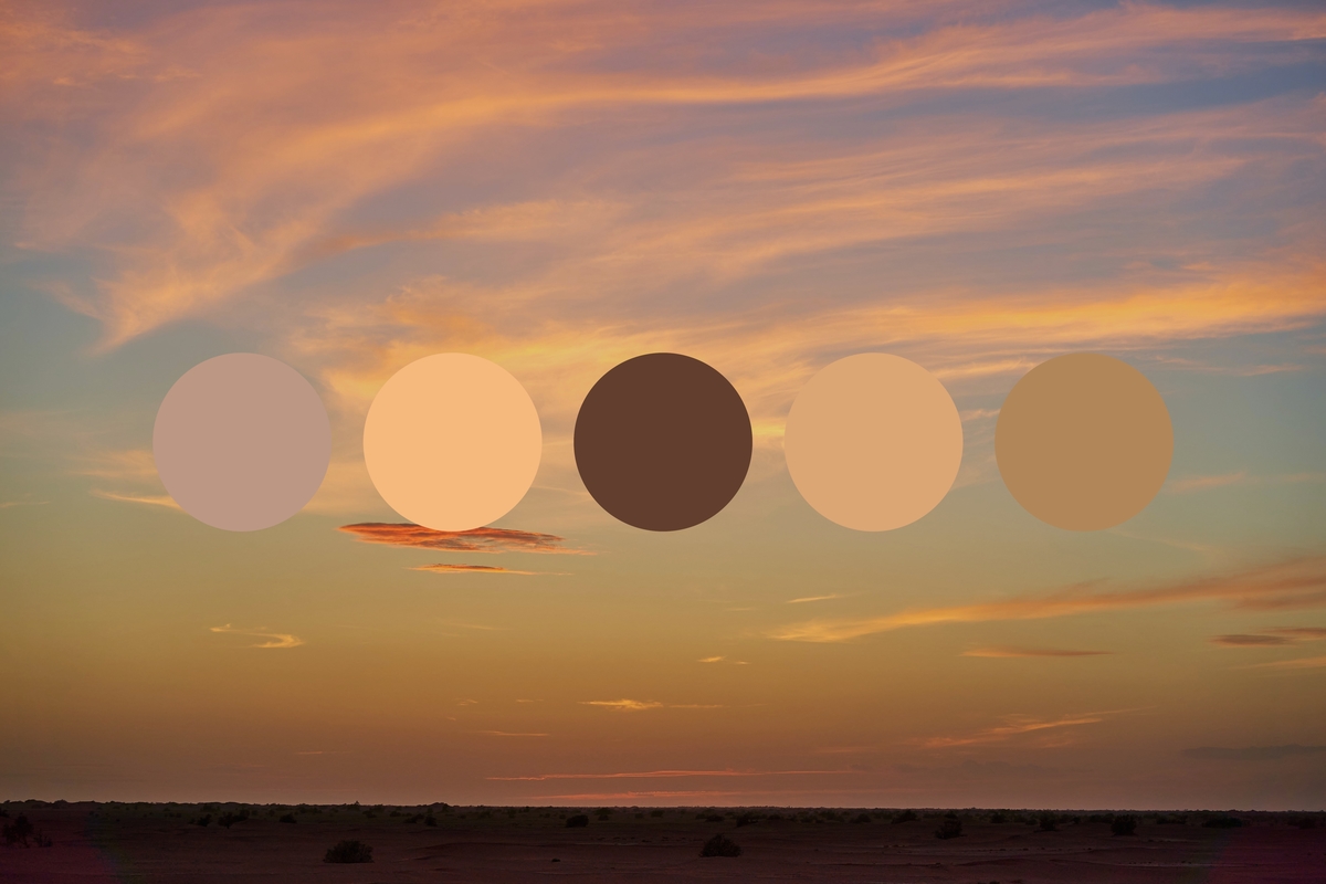 Get color palette inspiration from nature