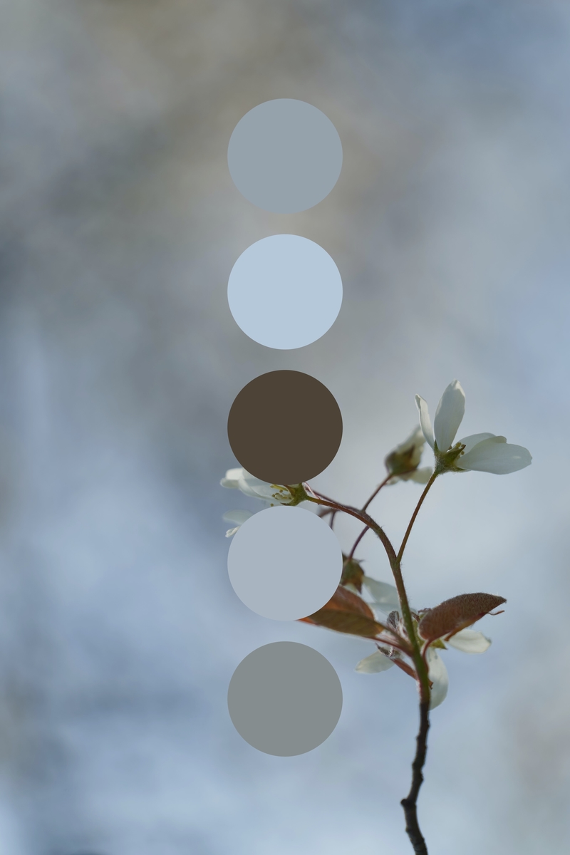Get color palette inspiration from nature