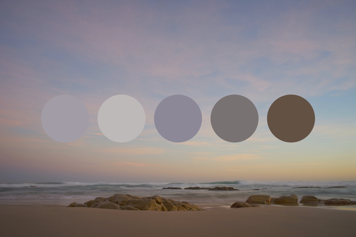 Get color palette inspiration from nature