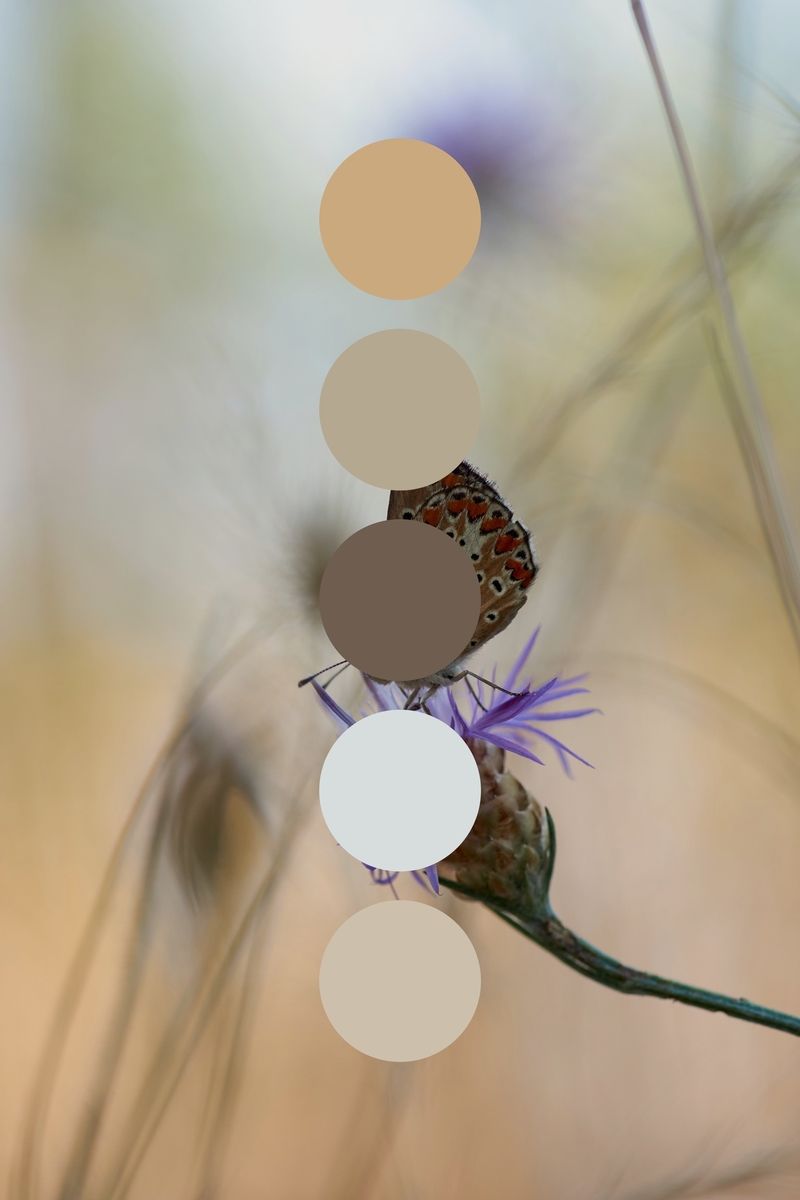 Get color palette inspiration from nature