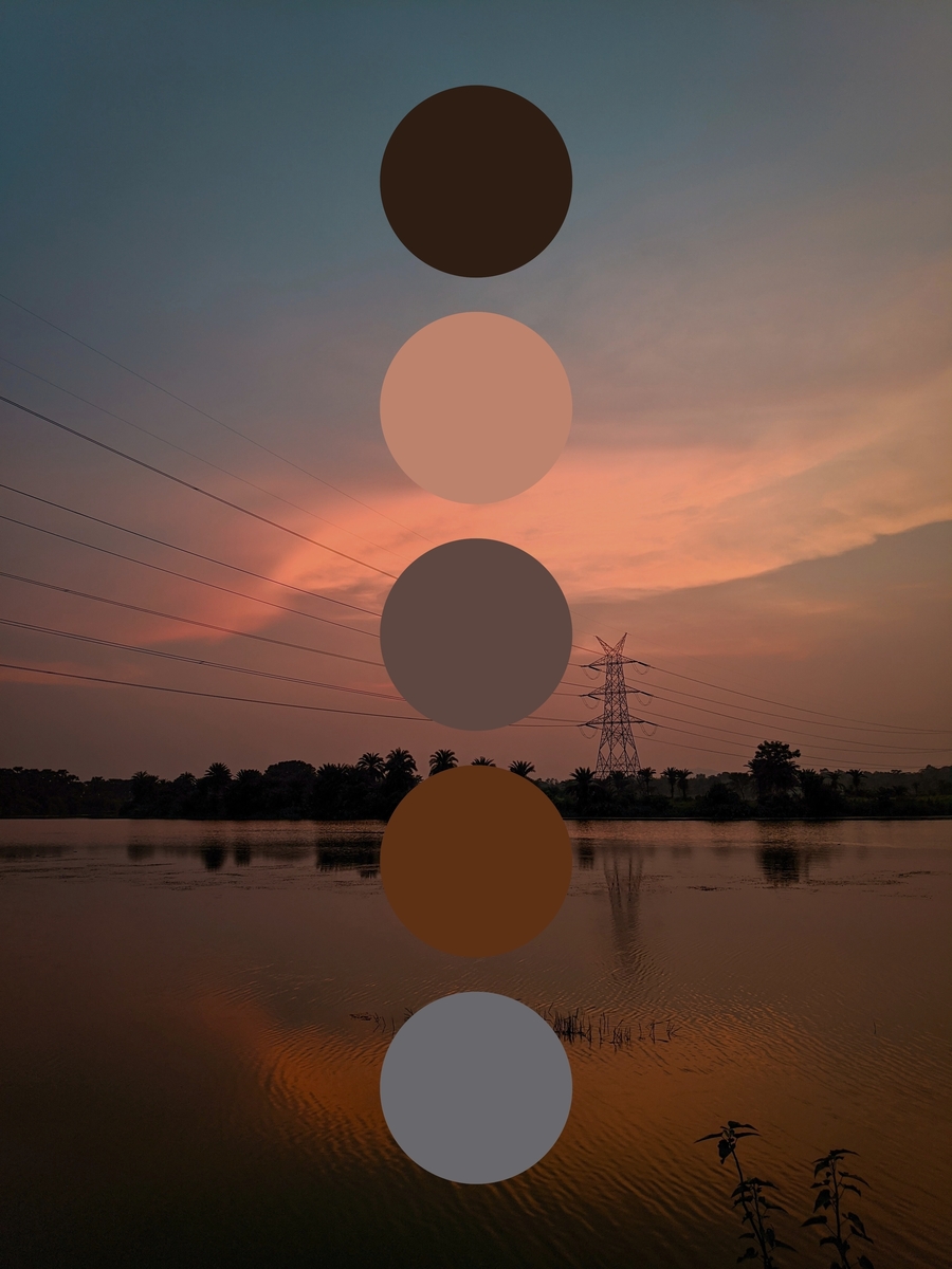 Get color palette inspiration from nature