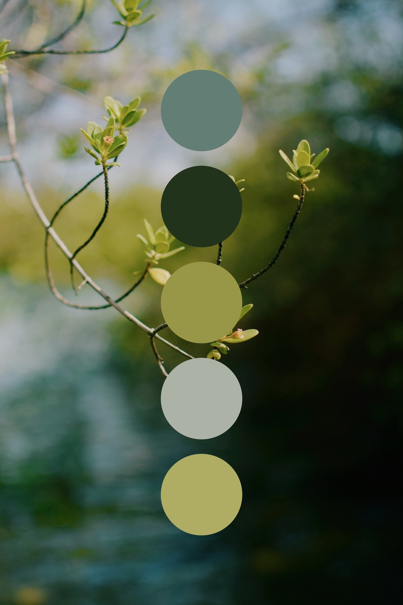 Get color palette inspiration from nature