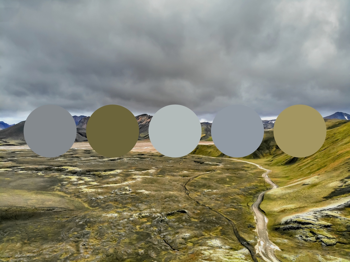 Get color palette inspiration from nature