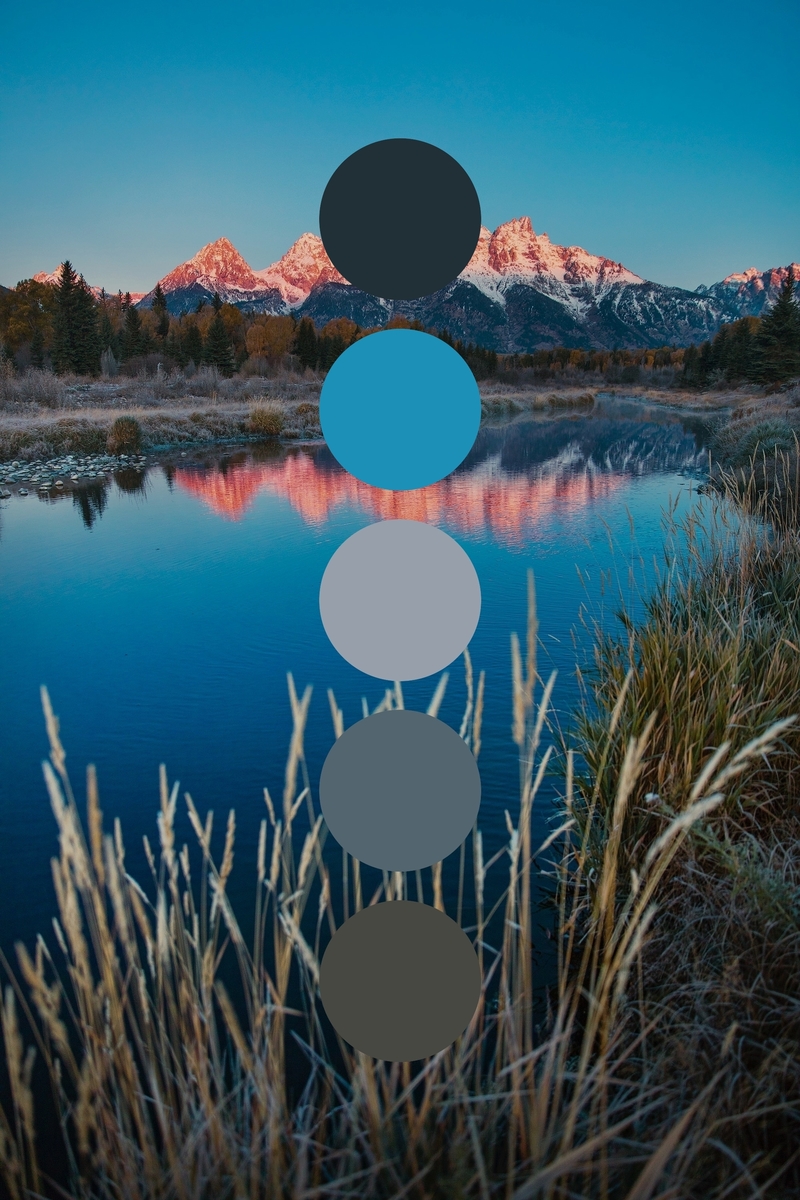 Get color palette inspiration from nature