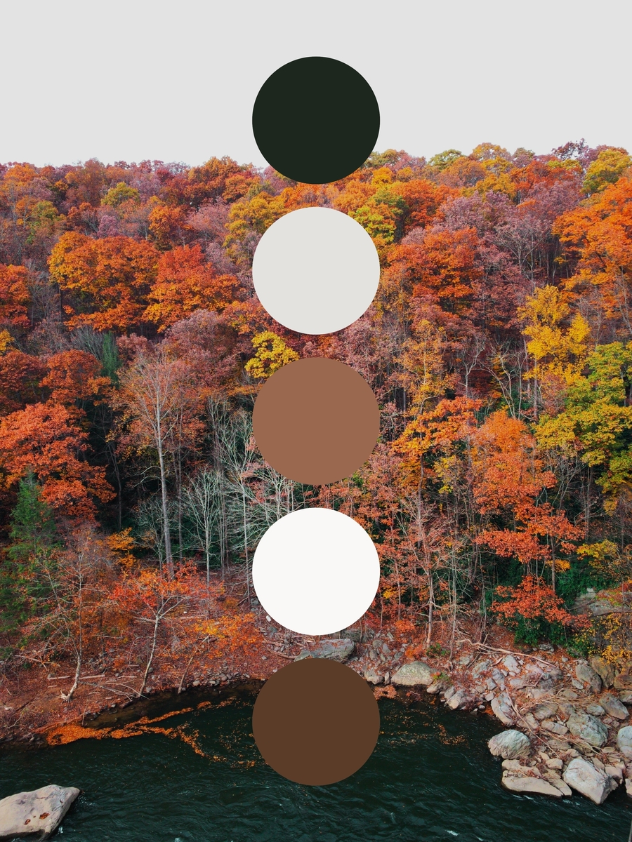 Get color palette inspiration from nature