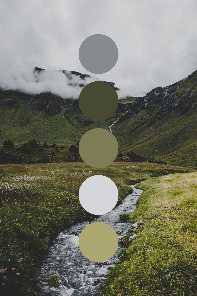 Get color palette inspiration from nature