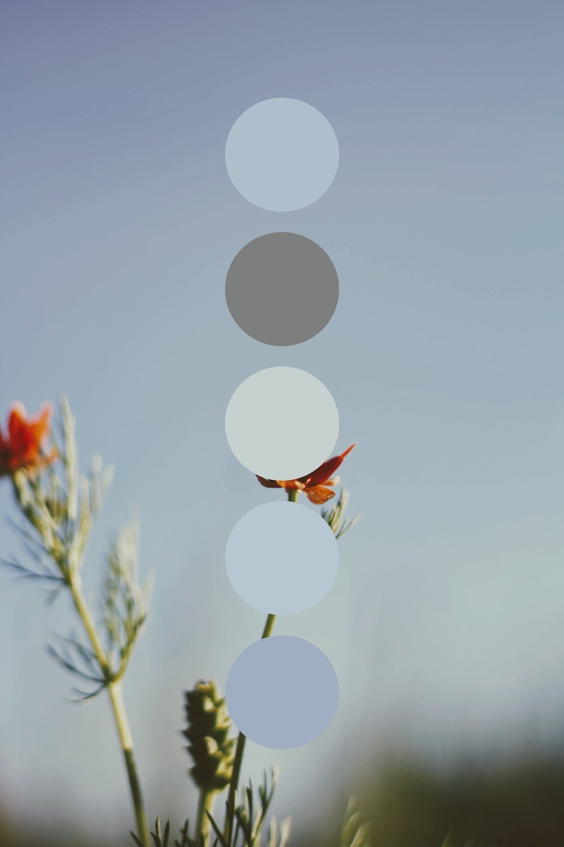 Get color palette inspiration from nature