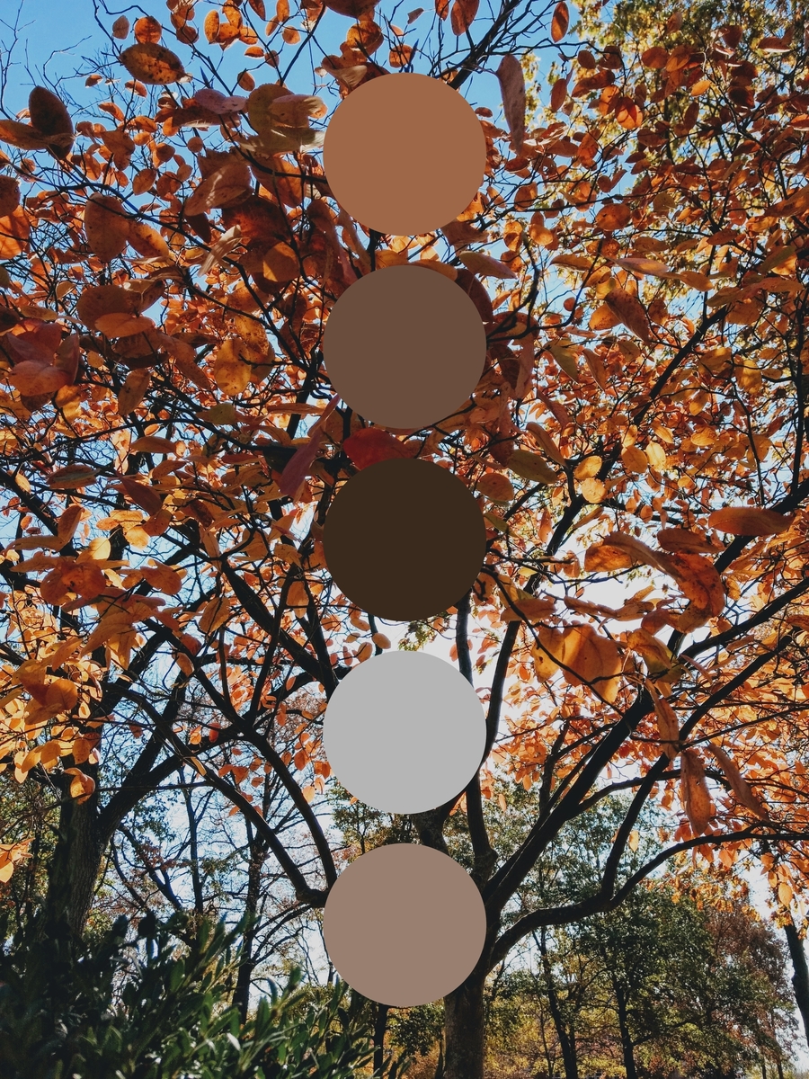 Get color palette inspiration from nature