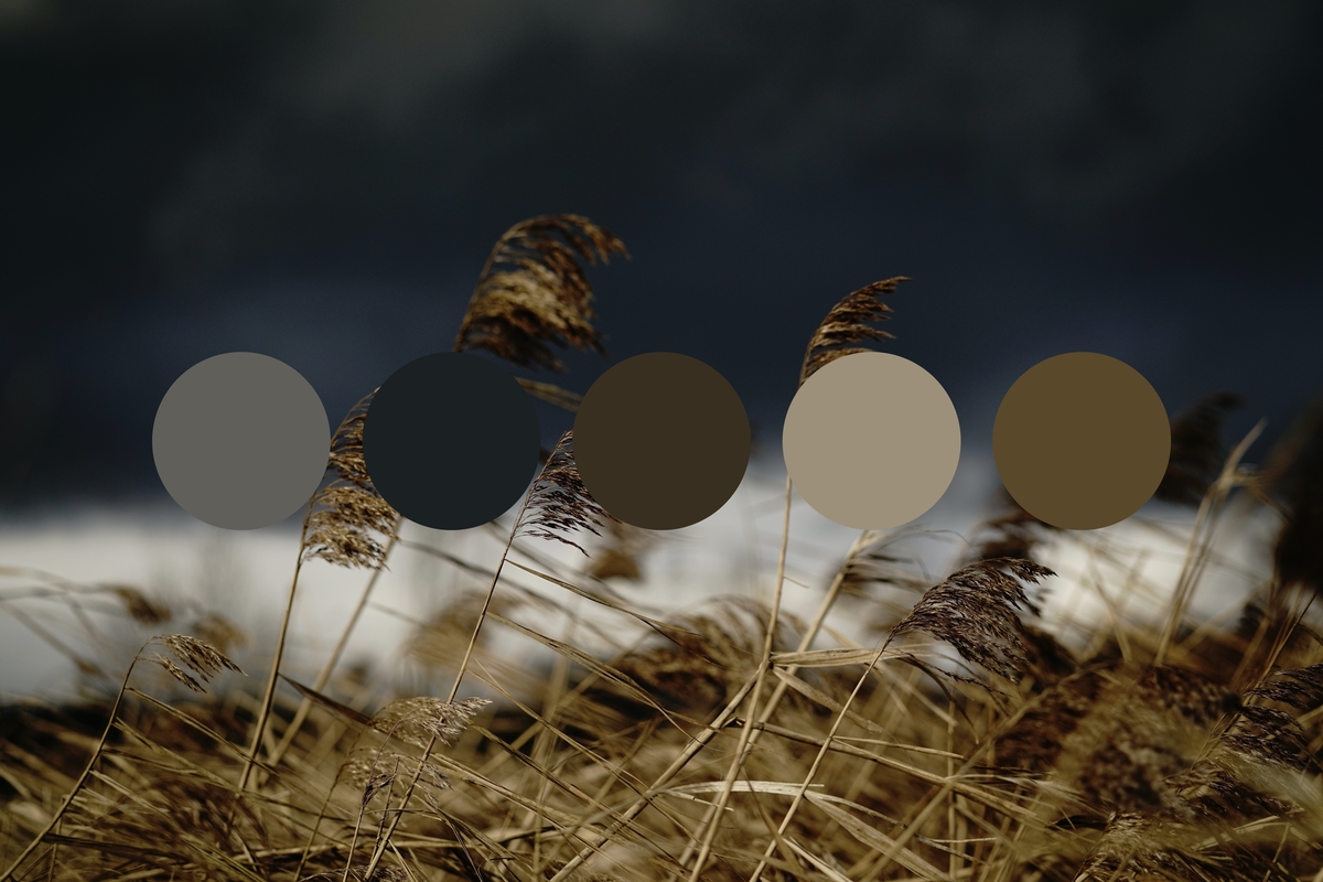 Get color palette inspiration from nature