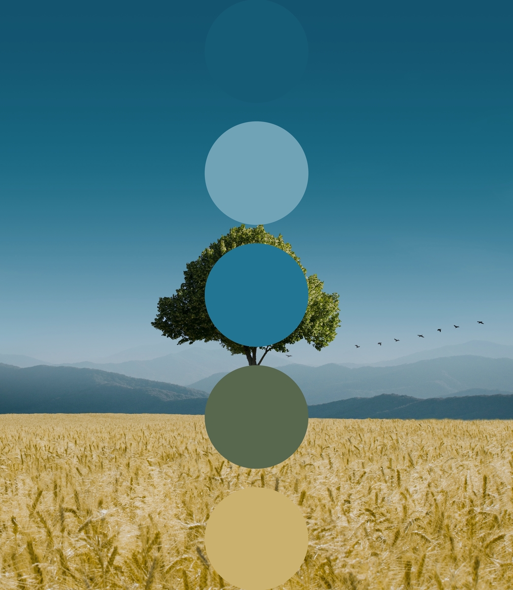 Get color palette inspiration from nature