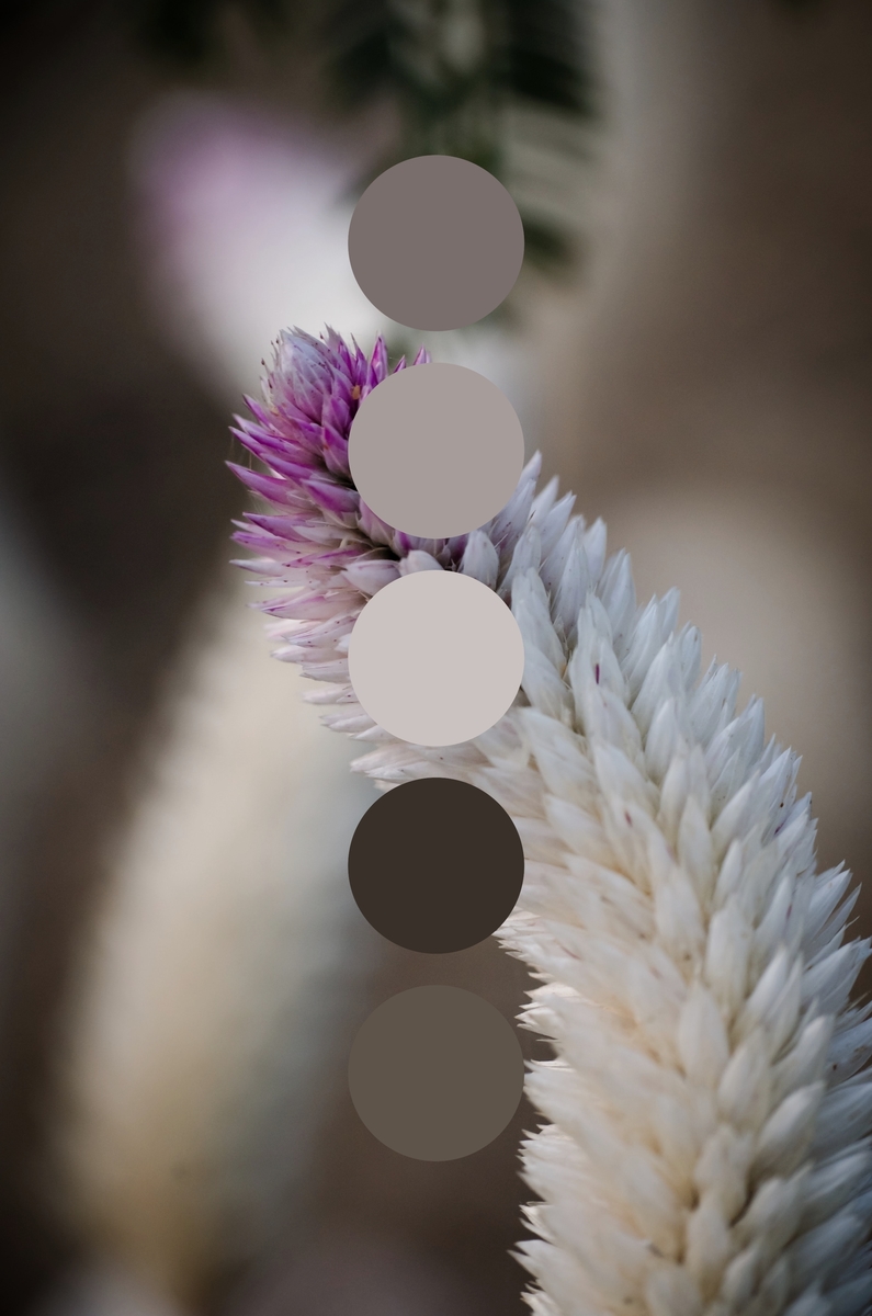 Get color palette inspiration from nature