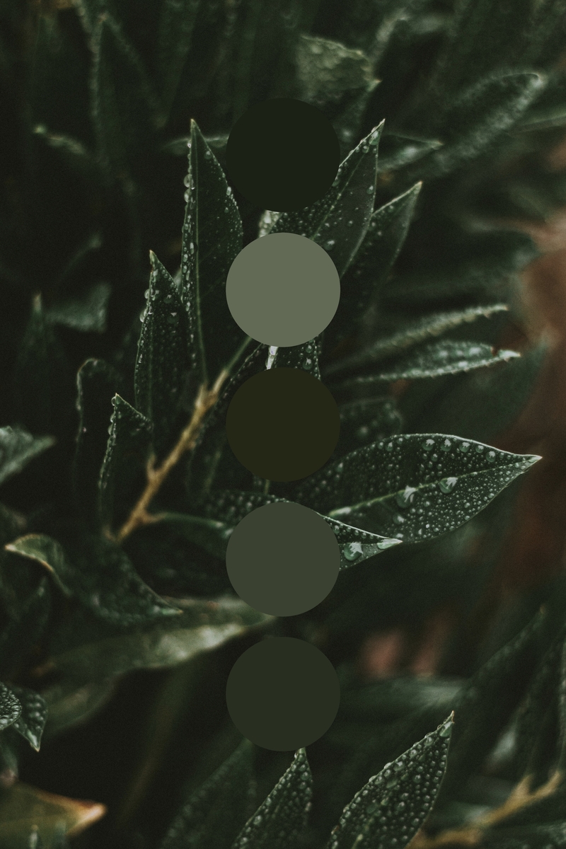Get color palette inspiration from nature