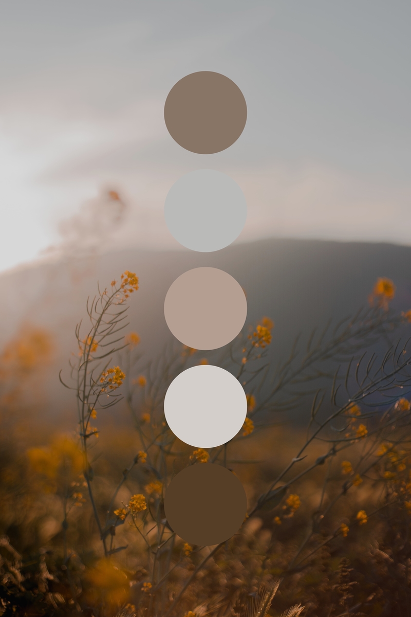Get color palette inspiration from nature