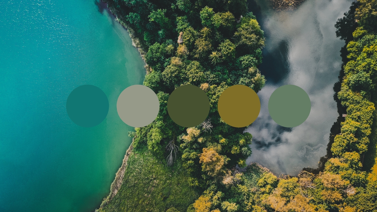 Get color palette inspiration from nature