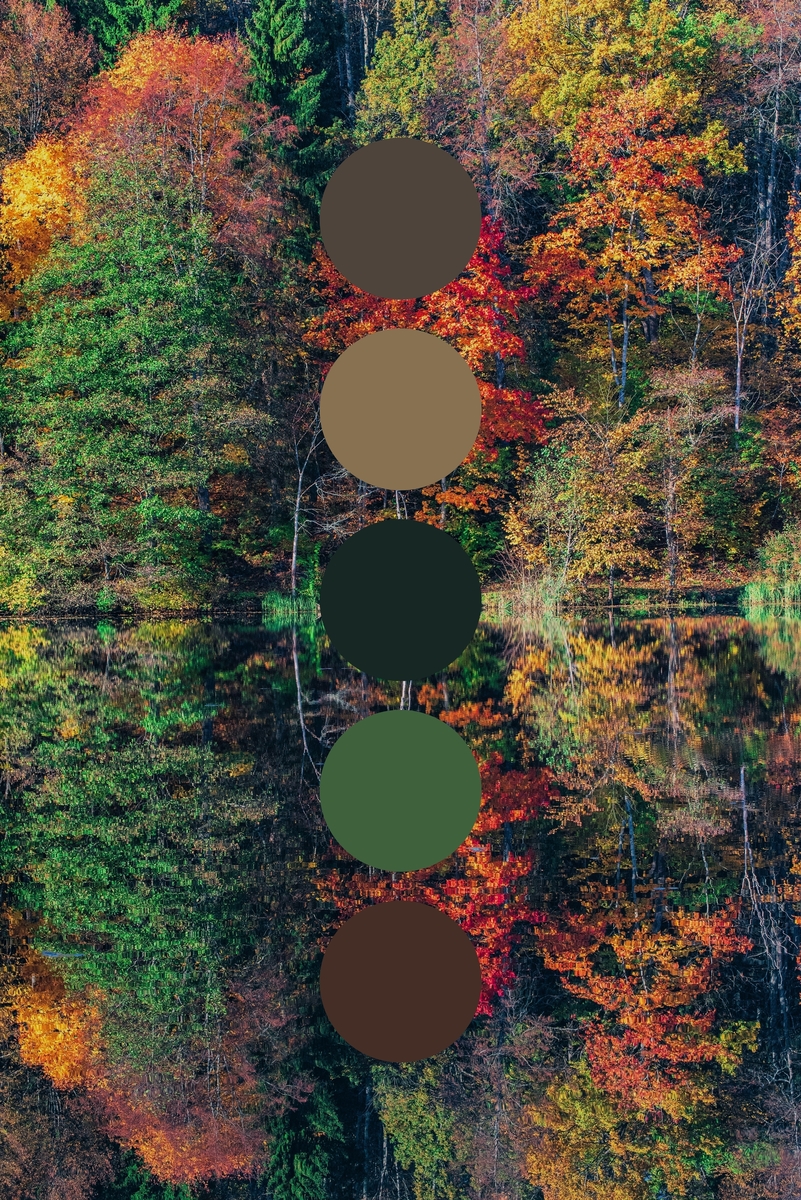Get color palette inspiration from nature