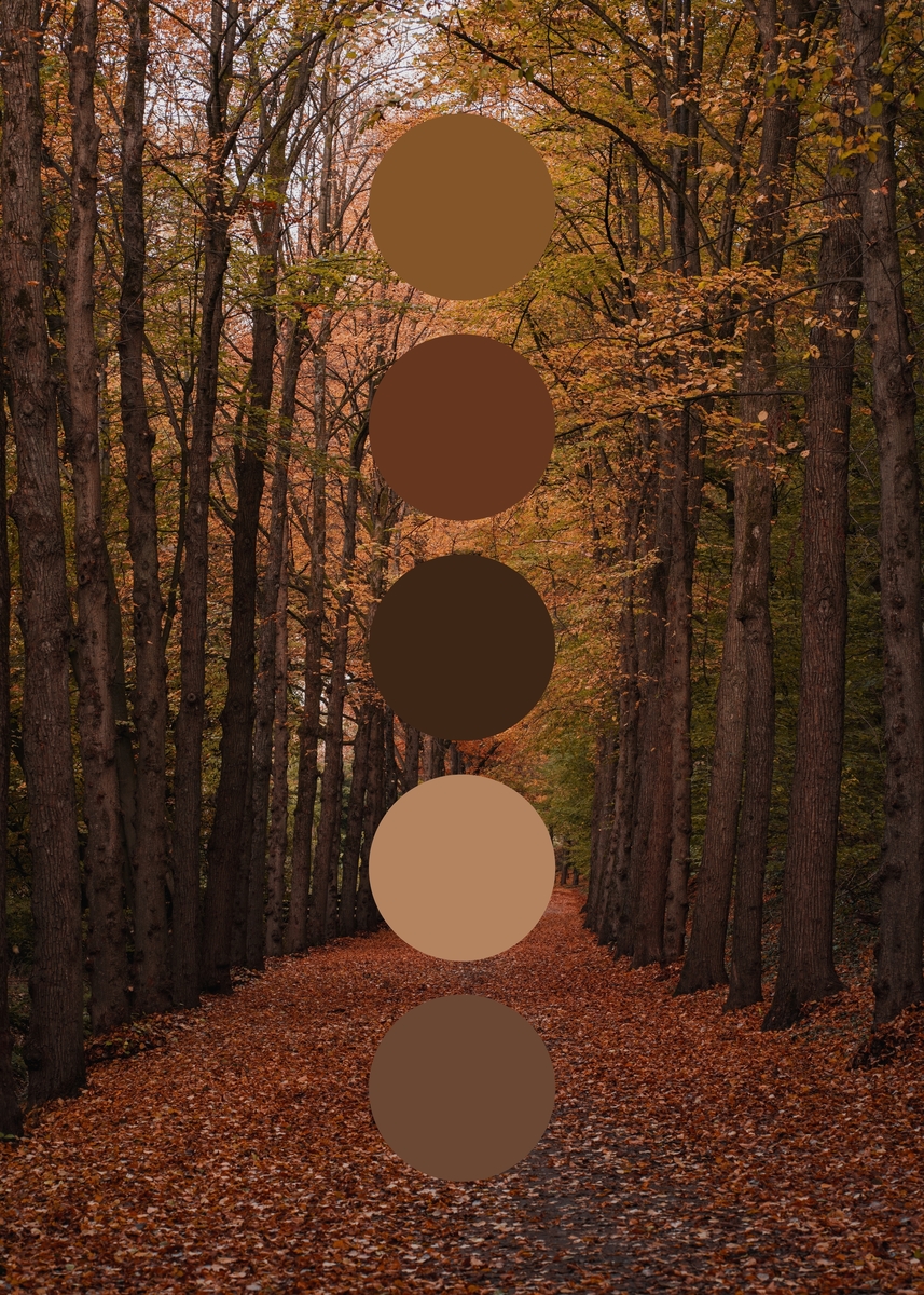 Get color palette inspiration from nature