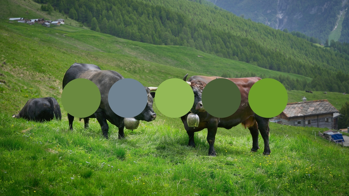 Get color palette inspiration from nature