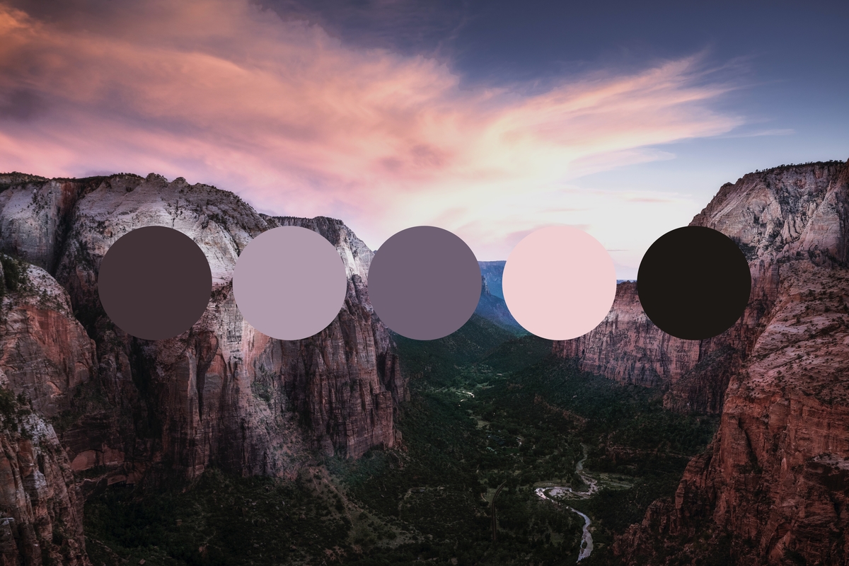 Get color palette inspiration from nature