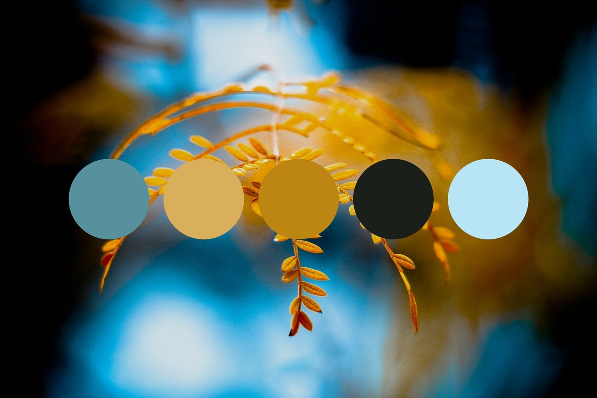 Get color palette inspiration from nature