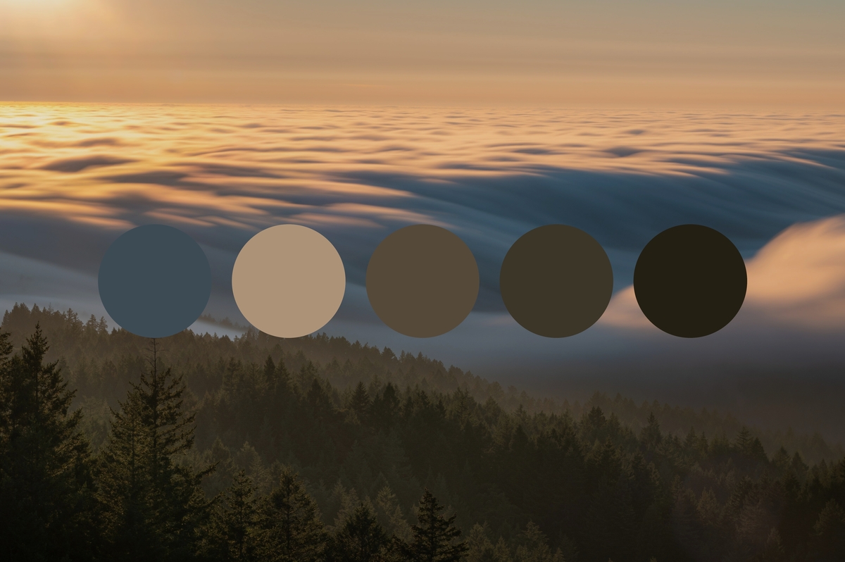 Get color palette inspiration from nature