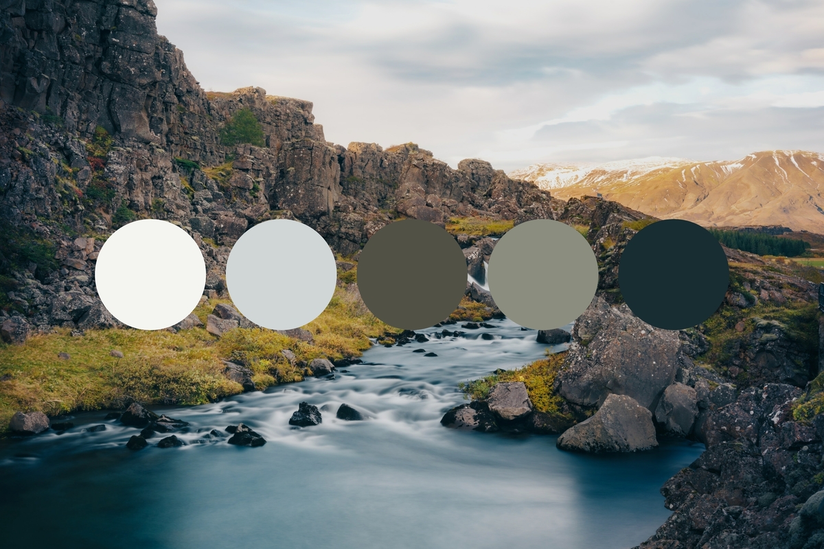 Get color palette inspiration from nature