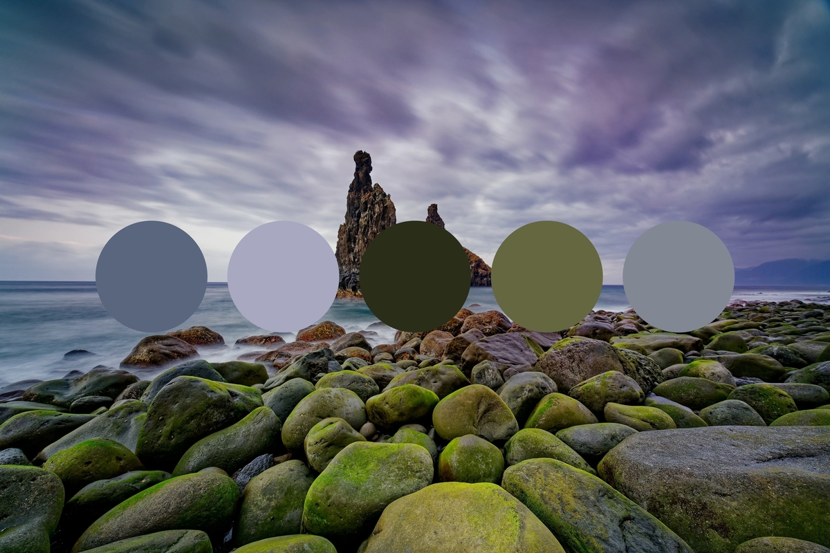 Get color palette inspiration from nature