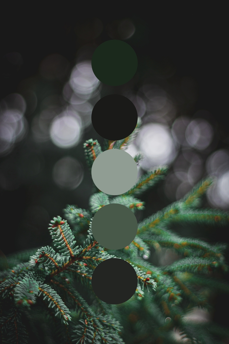 Get color palette inspiration from nature