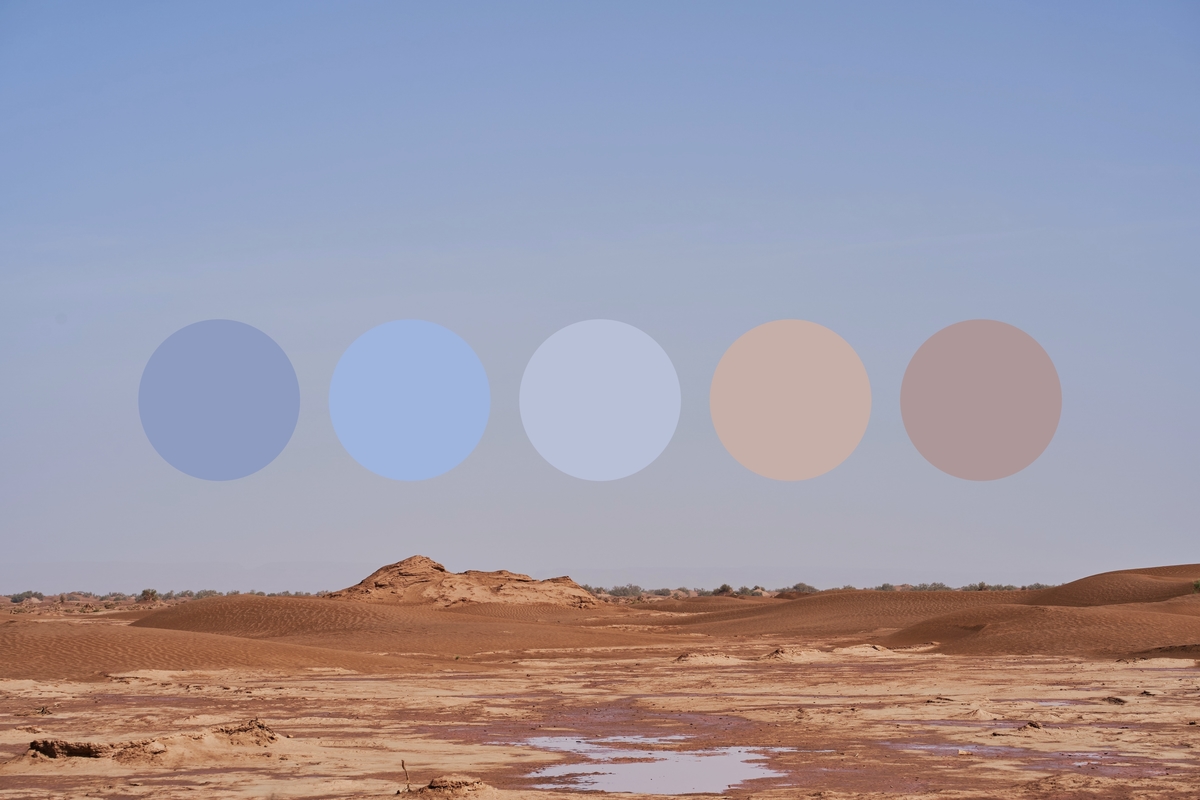 Get color palette inspiration from nature