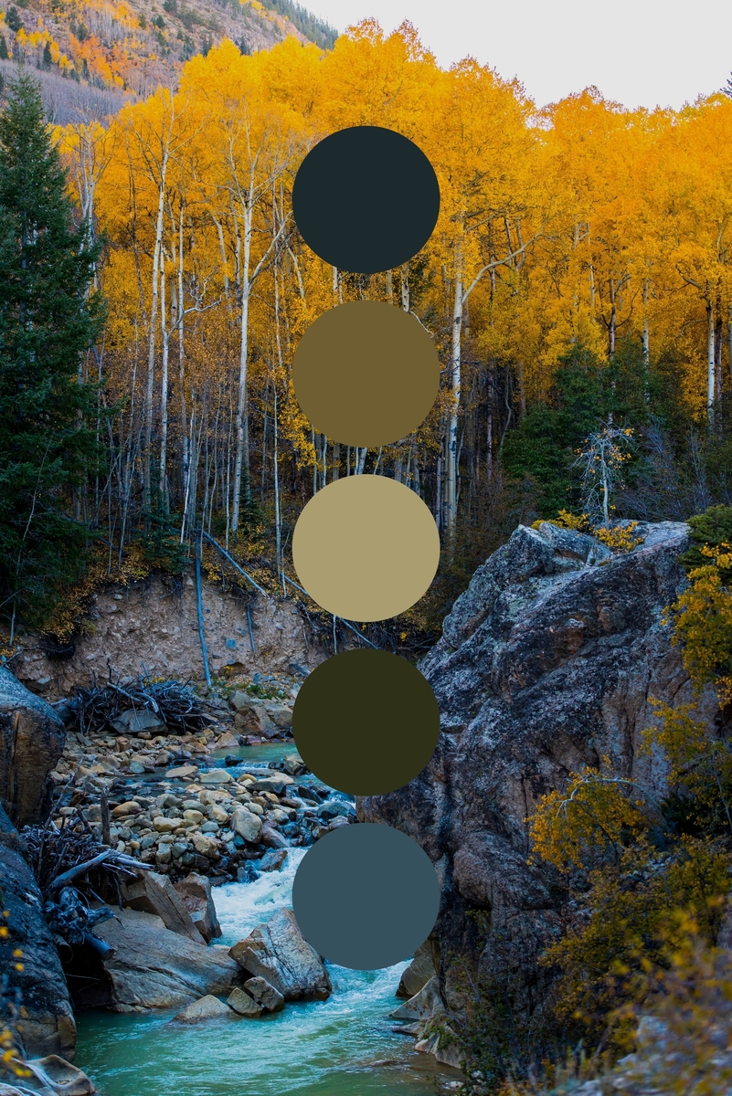 Get color palette inspiration from nature