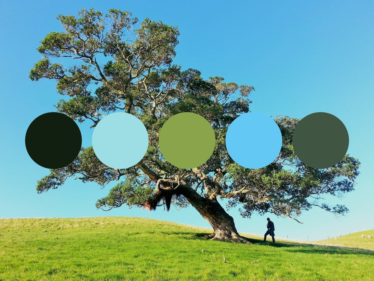 Get color palette inspiration from nature