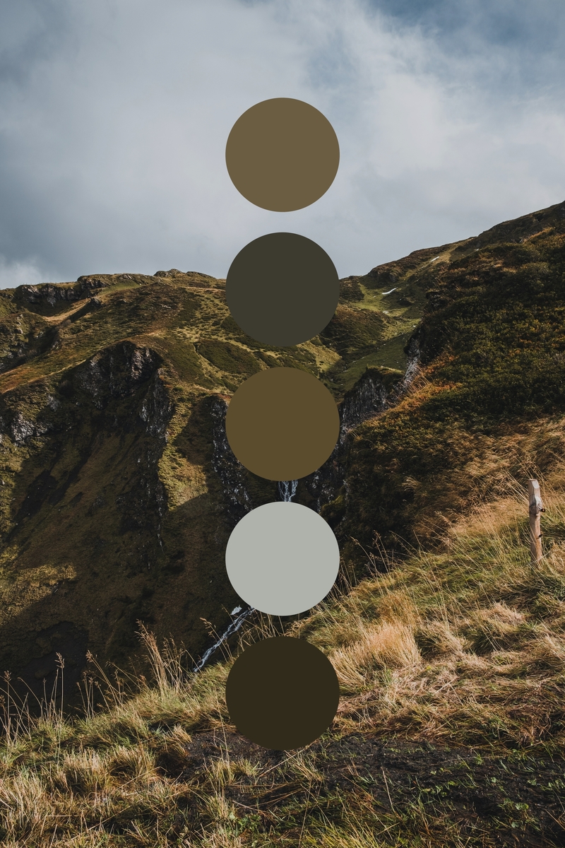 Get color palette inspiration from nature