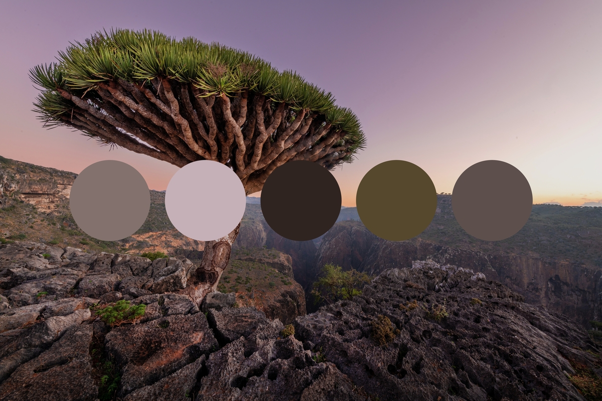 Get color palette inspiration from nature
