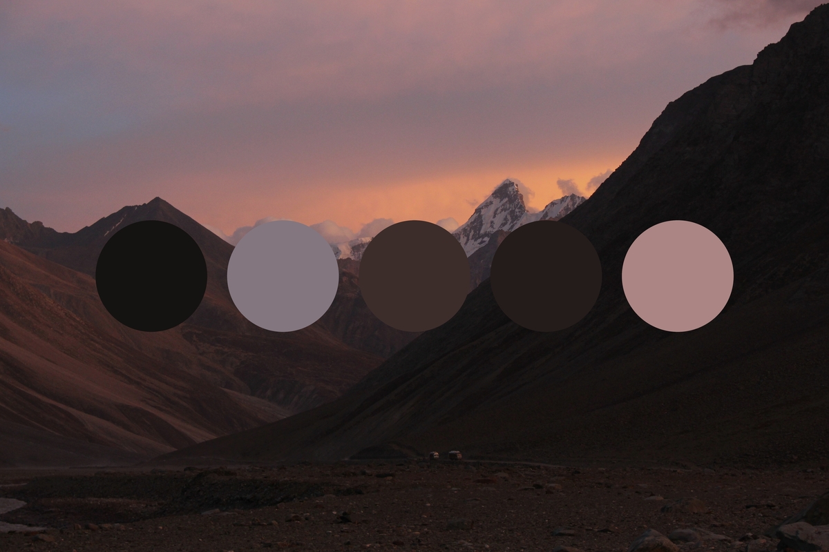 Get color palette inspiration from nature