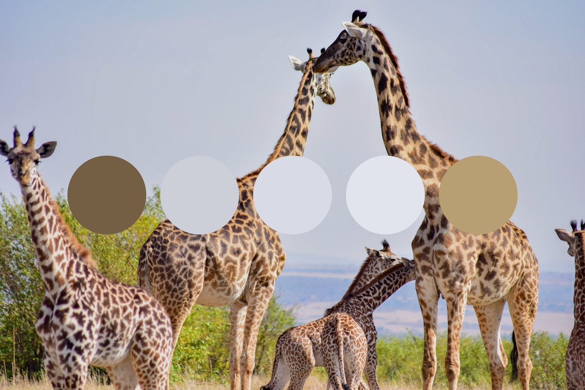 Get color palette inspiration from nature