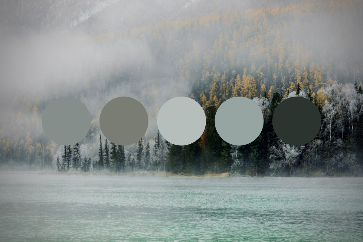 Get color palette inspiration from nature