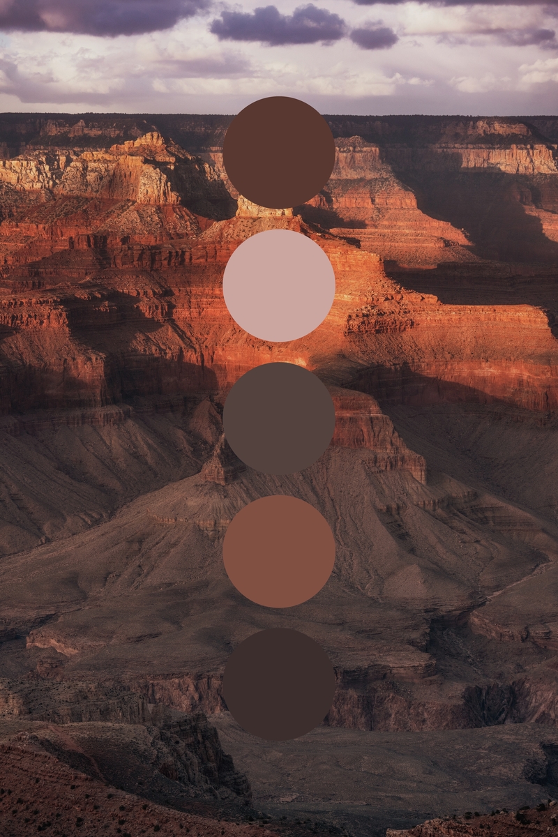 Get color palette inspiration from nature
