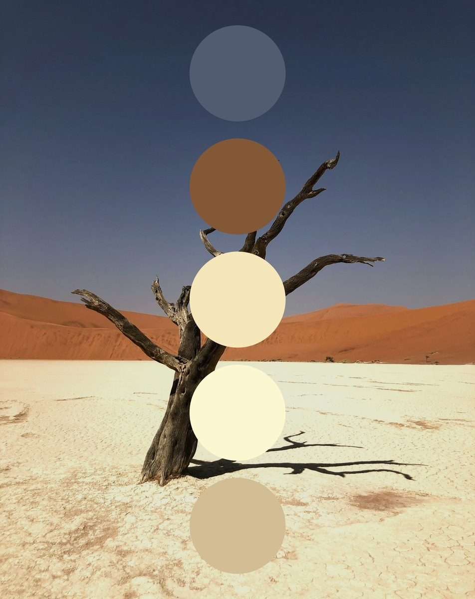 Get color palette inspiration from nature