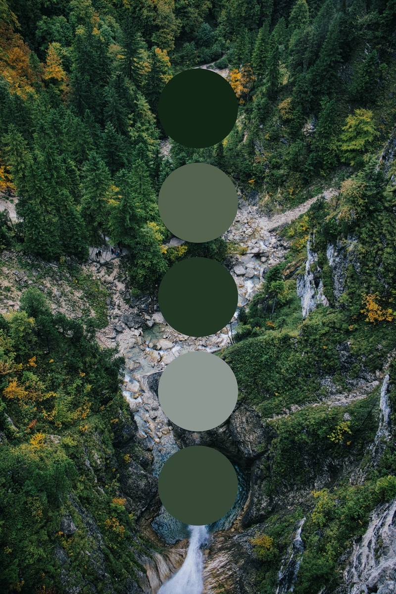 Get color palette inspiration from nature - colorpalettes.earth